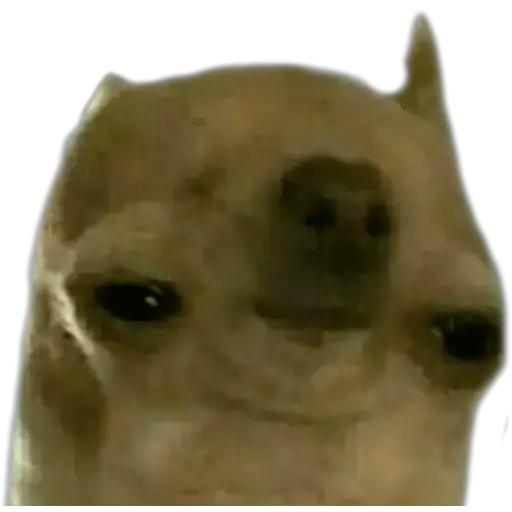 Sticker Maker - Perros