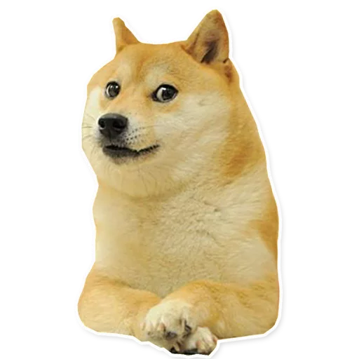 Sticker Maker - Perros