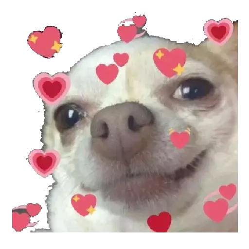 Sticker Maker - Perros