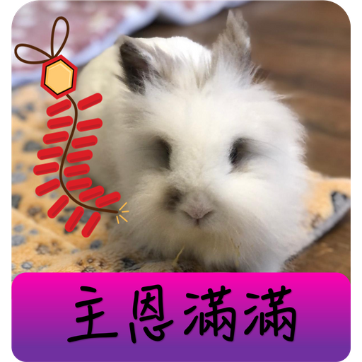 Sticker Maker - Ping On