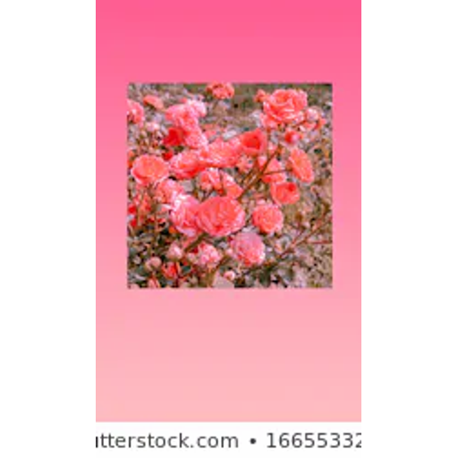 Sticker Maker - pink aesthic