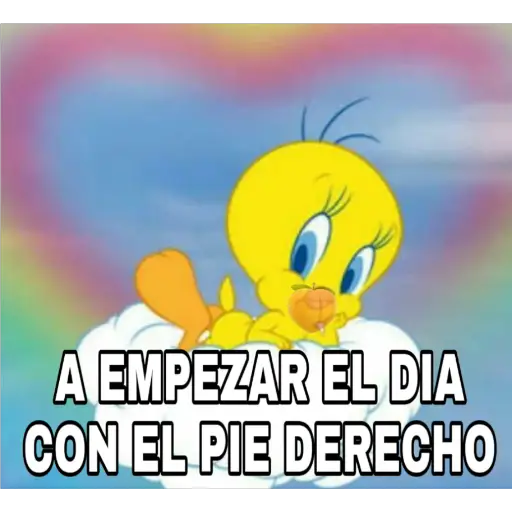 Sticker Maker - Piolin Frases Positivas