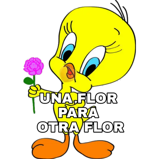 Sticker Maker - Piolin Frases Positivas