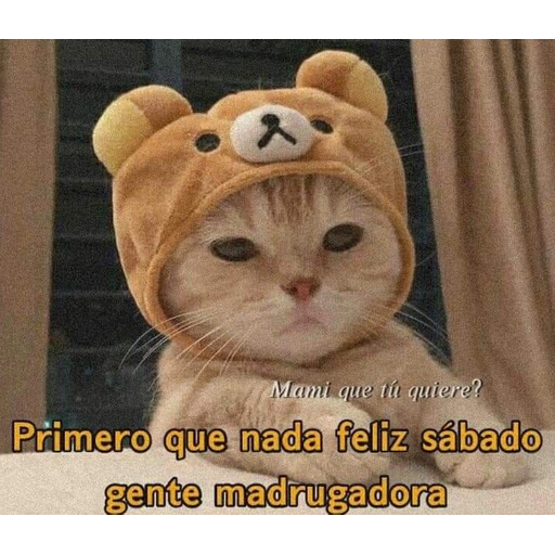 Sticker Maker - Primero que nada, buenos dias