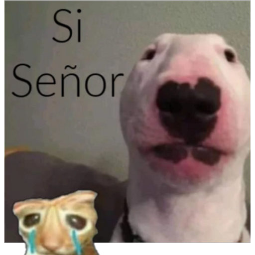 Sticker Maker - Puro Flow