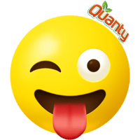 Sticker Maker - Quanty