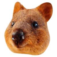 Sticker Maker - Quokkas, los Animales Más Felices del Mundo Sticker Maker - Quokkas, los Animales Más Felices del Mundo
