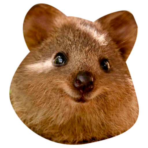 Sticker Maker - Quokkas, los Animales Más Felices del Mundo Sticker Maker - Quokkas, los Animales Más Felices del Mundo