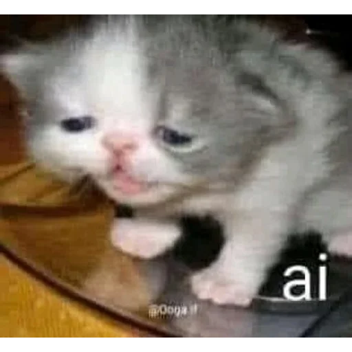 Sticker Maker - random_003