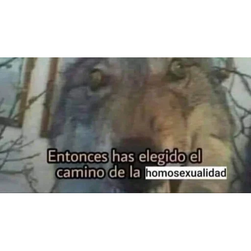 Sticker Maker - random_003