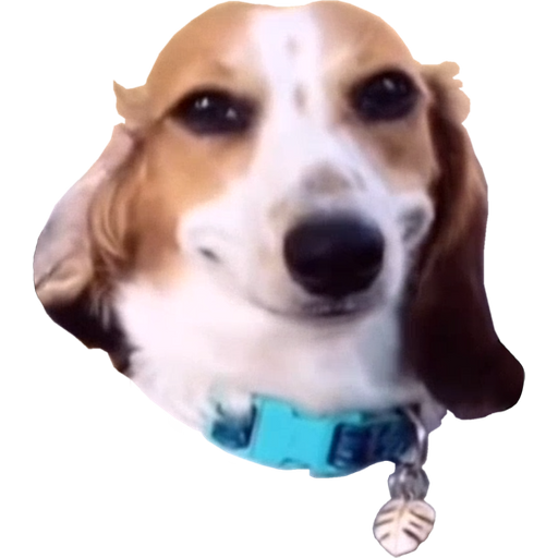 Sticker Maker - Random