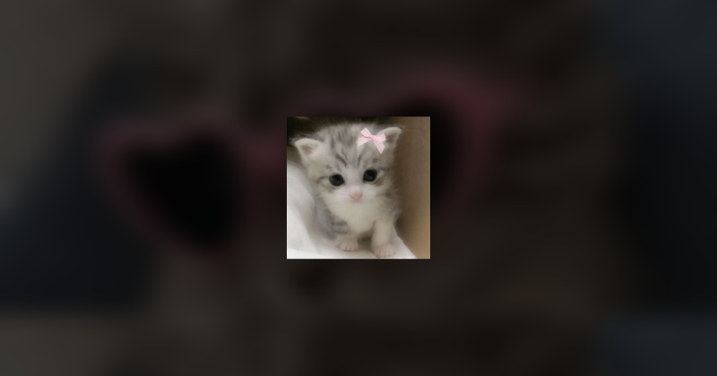 Sticker Maker - Random