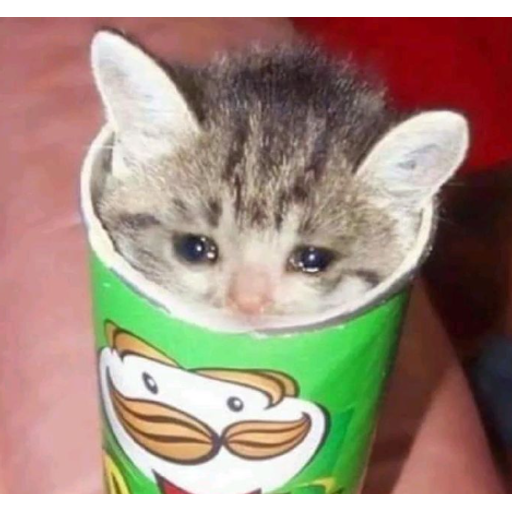 Sticker Maker - Random Cat Meme V1