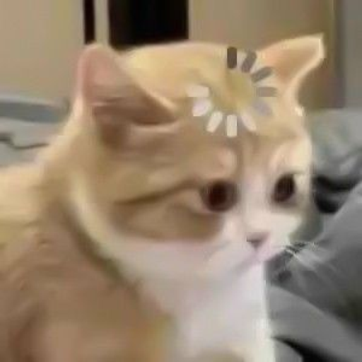 Sticker Maker - Random Cat Meme V1