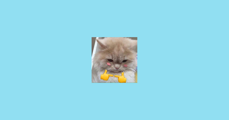 Sticker Maker - random cat pack text