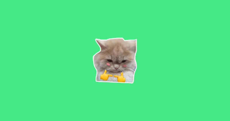 Sticker Maker - random cat pack