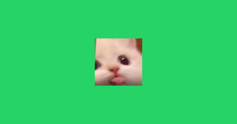 Sticker Maker - Random Meme Cat Sticker - Set 1