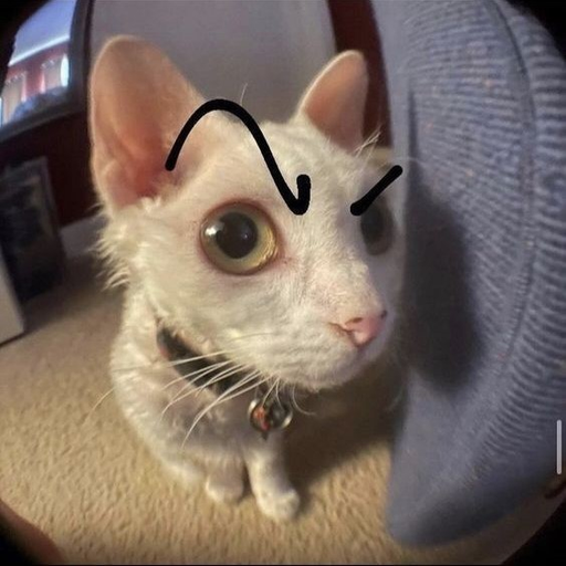Sticker Maker - Random Meme Cat Sticker - Set 1