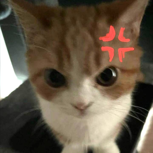 Sticker Maker - Random Meme Cat Sticker - Set 1