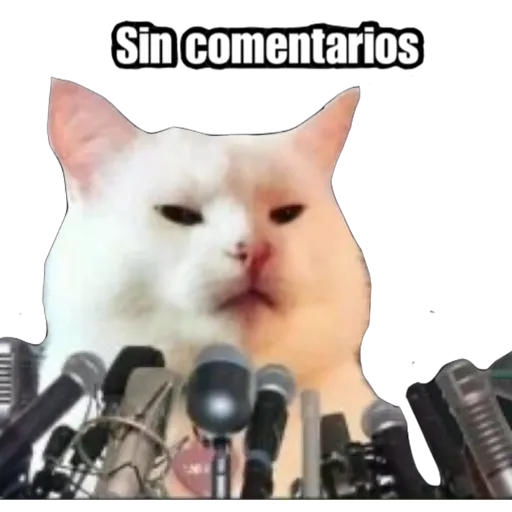 Sticker Maker - Random Stickers 2