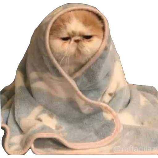 Sticker Maker - Random Stickers 3