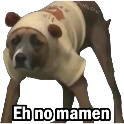 Sticker Maker - Random Stickers 3