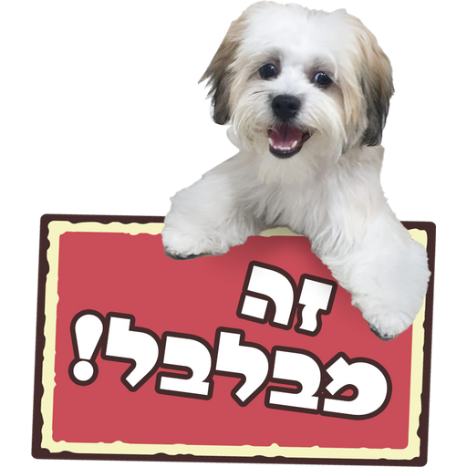 Sticker Maker - Raphael