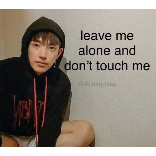 Sticker Maker - reaction memes kpop id -arin