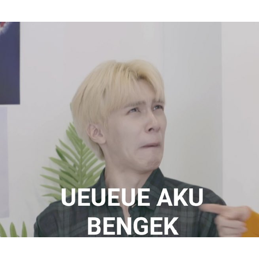 Sticker Maker - reaction memes kpop id -arin