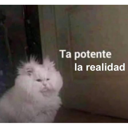 Sticker Maker - Reflexión