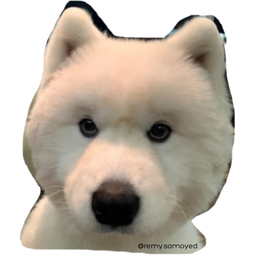 Sticker Maker - Remy.Samoyed