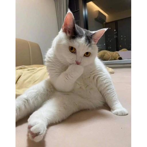 Sticker Maker - representando