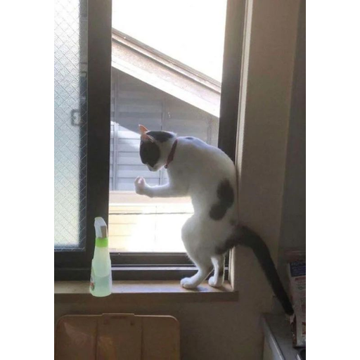 Sticker Maker - representando