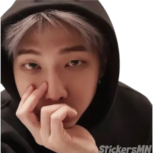 Sticker Maker - RM - BTS