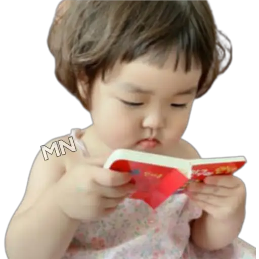 Sticker Maker - Rohee & Romi