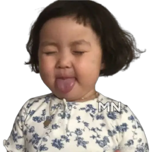 Sticker Maker - Rohee & Romi