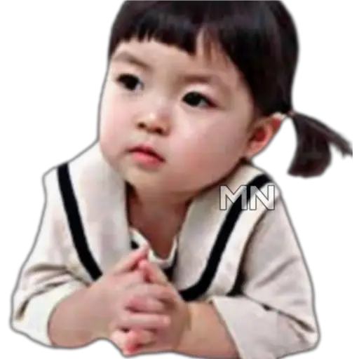 Sticker Maker - Rohee & Romi