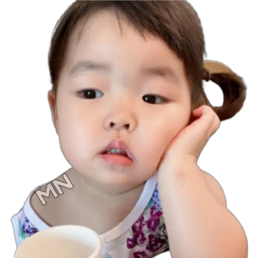 Sticker Maker - Rohee & Romi