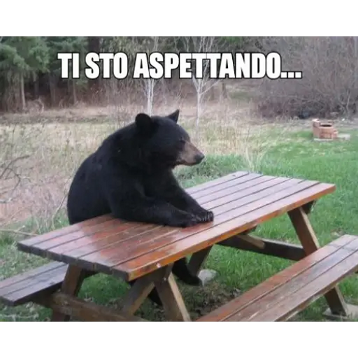 Sticker Maker - Rolling Stickers