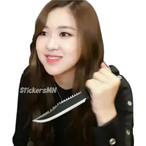 Sticker Maker - Rose-Blackpink