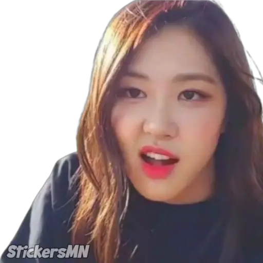 Sticker Maker - Rose-Blackpink
