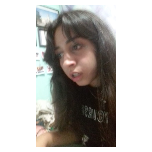 Sticker Maker - Ruby faces