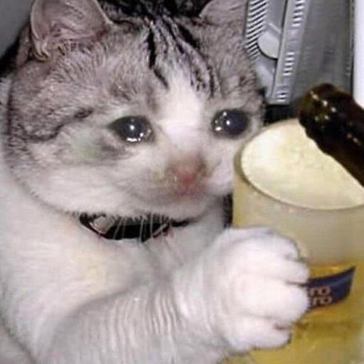 Sticker Maker - Sad Cats