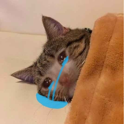 Sticker Maker - Sad Cats