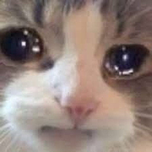 Sticker Maker - Sad Cats