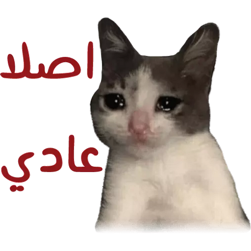 Sticker Maker - Sad memes