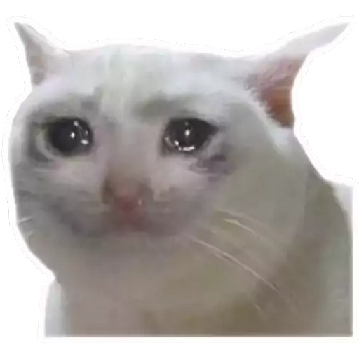 Sticker Maker - Sad memes