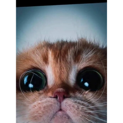 Sticker Maker - Sad memes