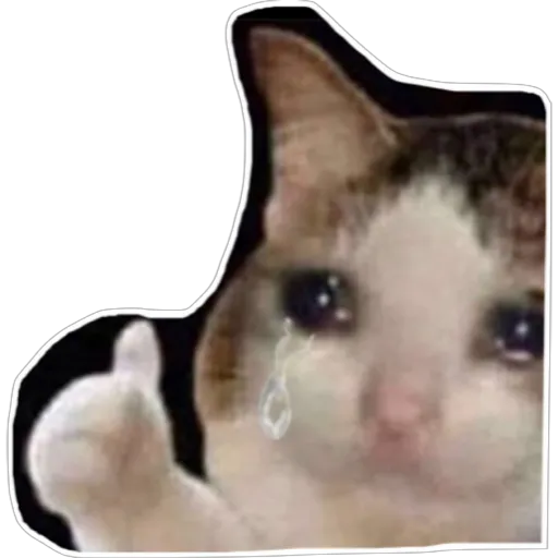 Sticker Maker - Sadge/ Why?