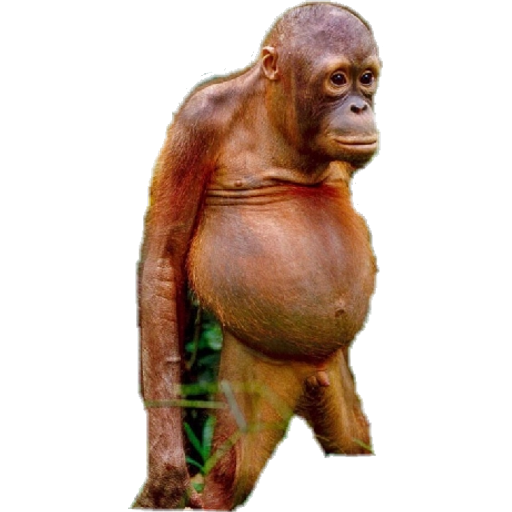 Sticker Maker - Sadness